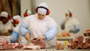 Nutribras Alimentos – Sabor que une a família, nutre você e o mundo melhor.